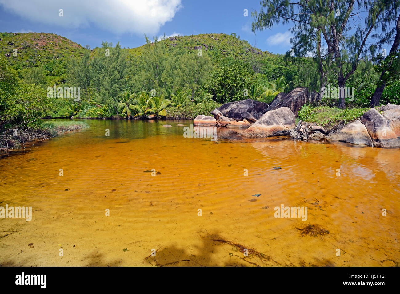 Brackish water hi-res stock photography and images - Alamy
