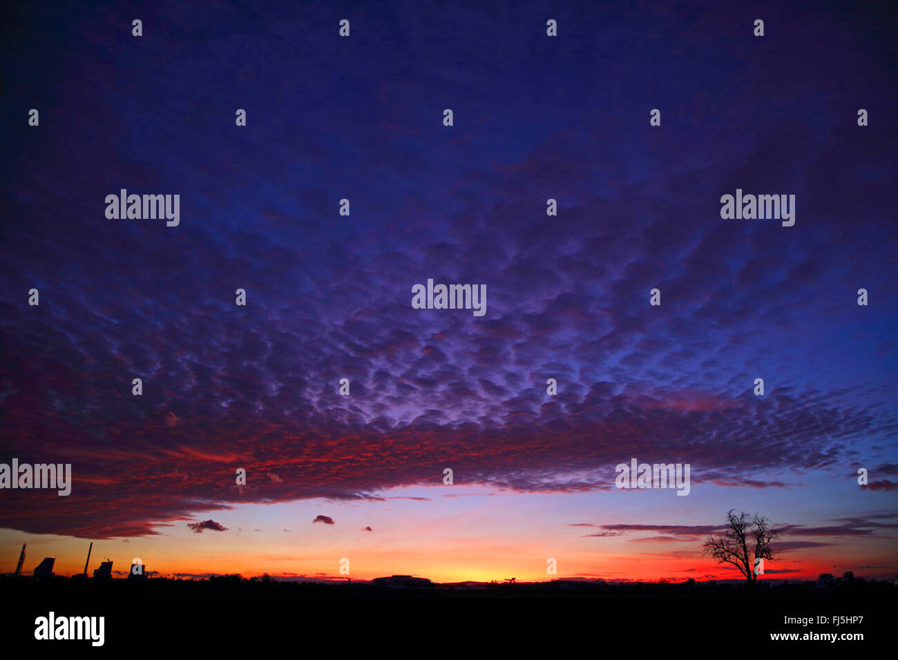 sunset over the power station Mannheim, Germany, Baden-Wuerttemberg ...