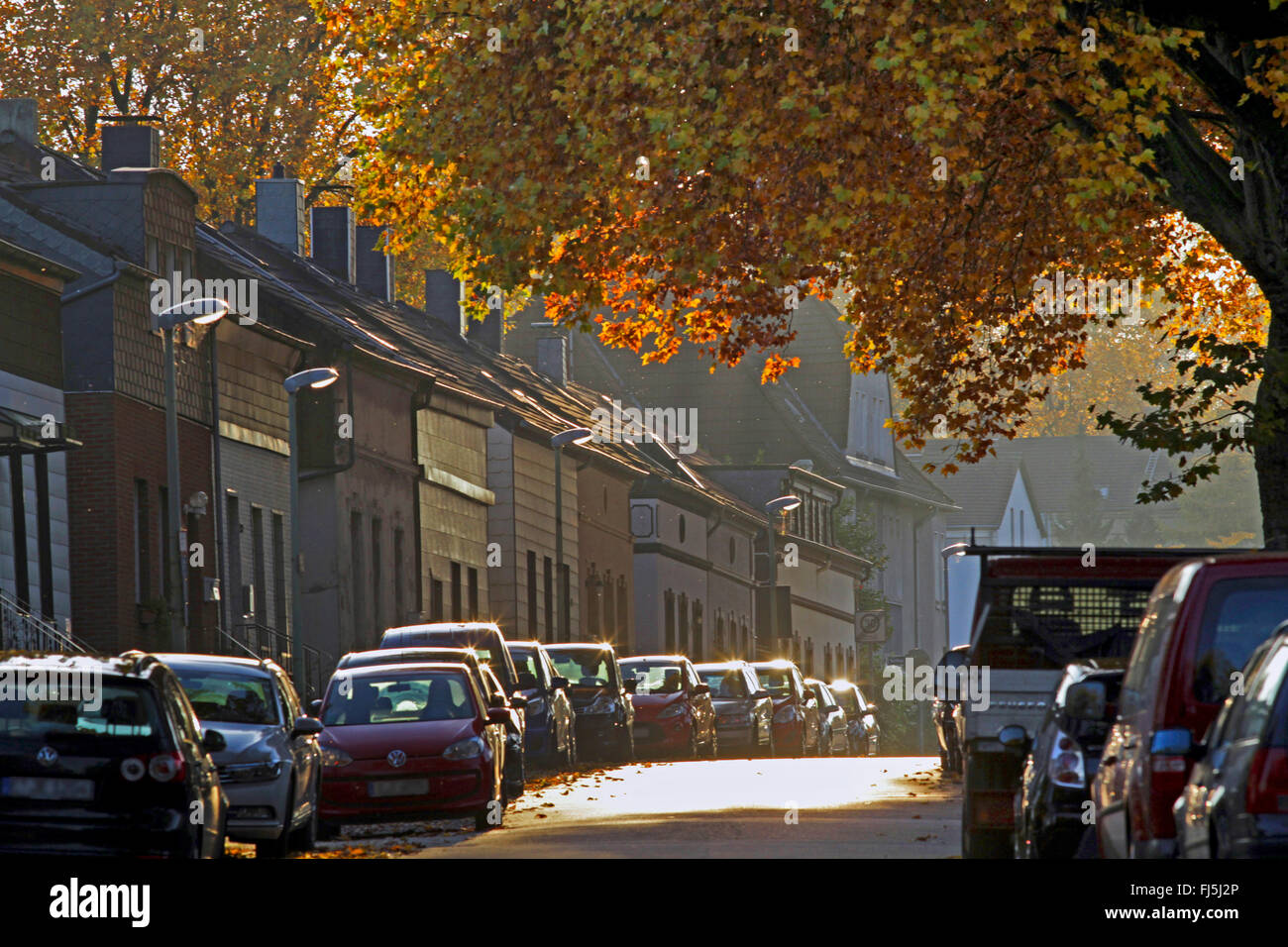 residental zone of miners in autumn, Essen Kray, Germany, North Rhine ...