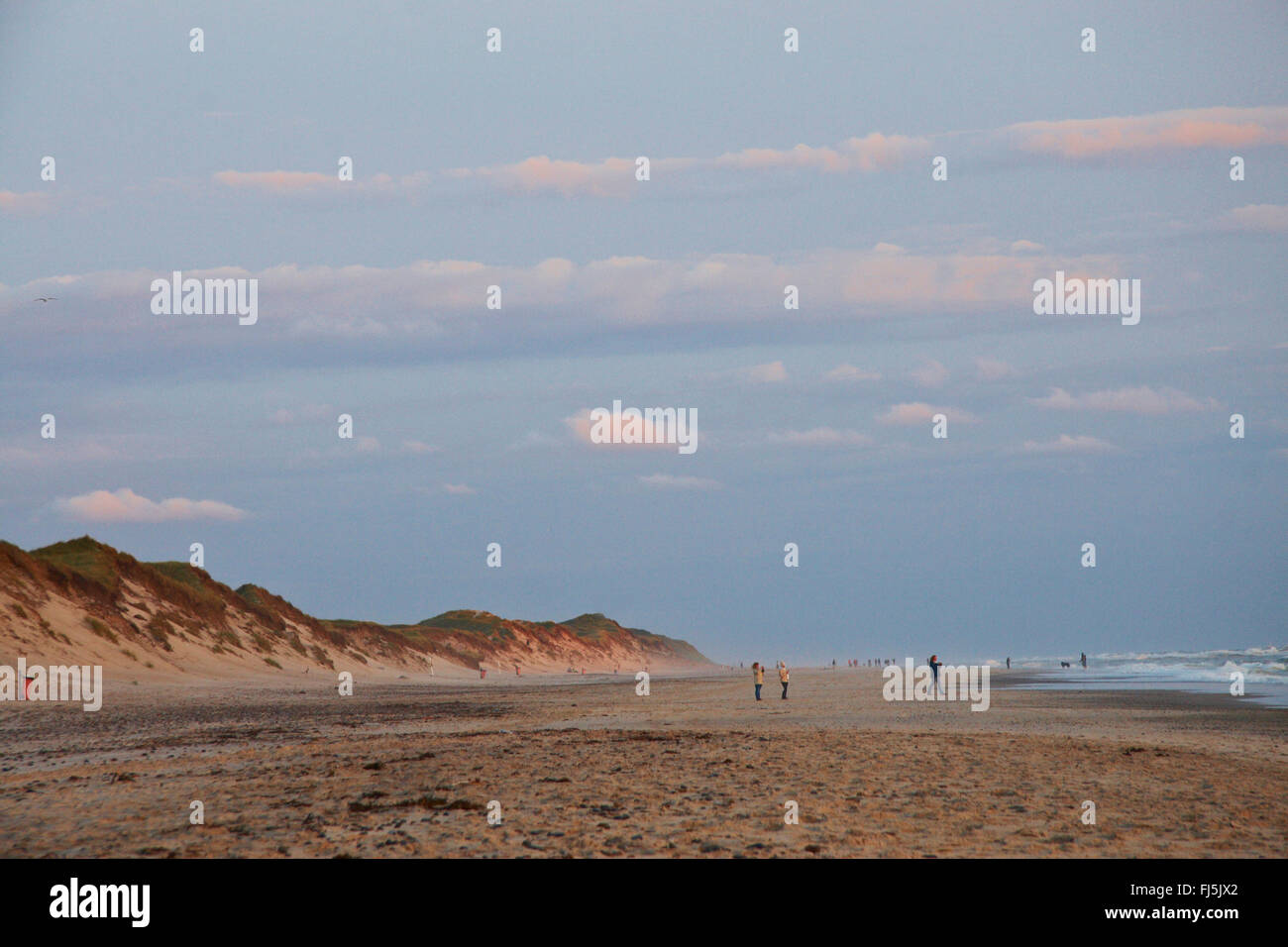 sandy beach of the North Sea in evening light, Denmark Stock Photo - Alamy