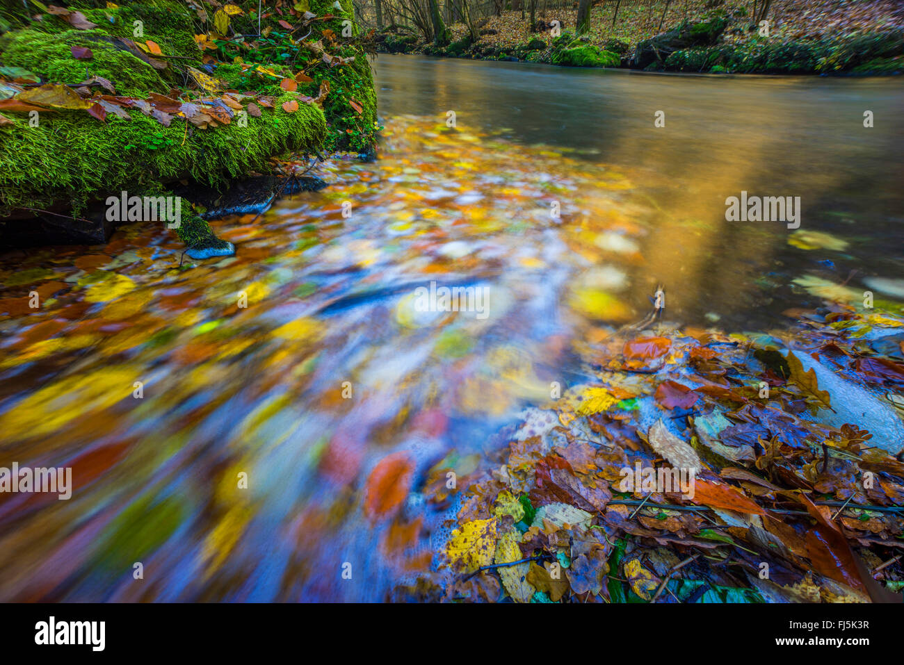 Floating autumn leaves on a brook hi-res stock photography and images - Alamy