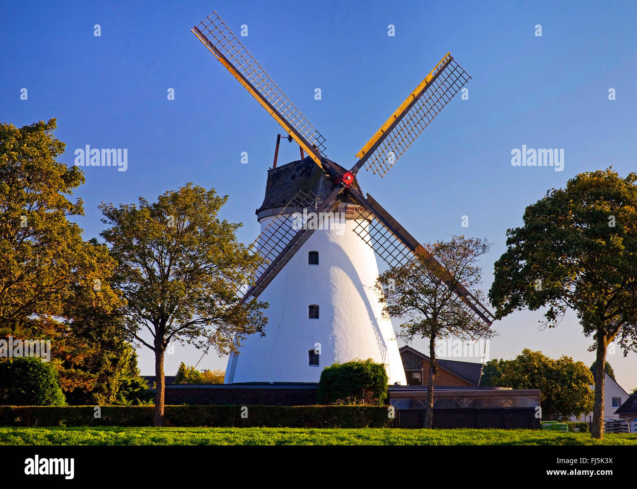 Ossenberg windmill hi-res stock photography and images - Alamy Ossenberg windmill hi-res stock photography and images - Alamy