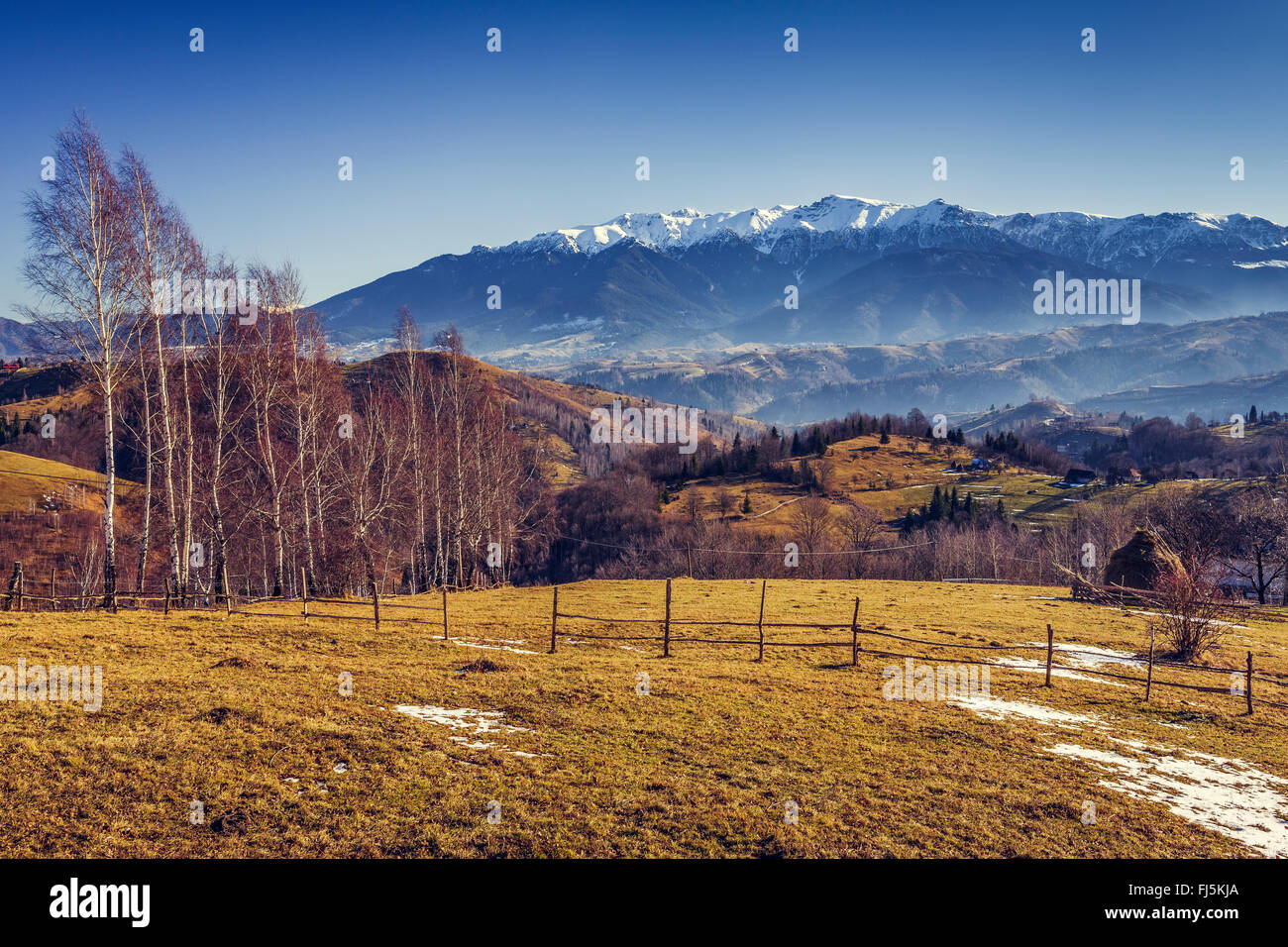 Romanian alpine countryside scenery in the valleys of Bucegi mountains ...