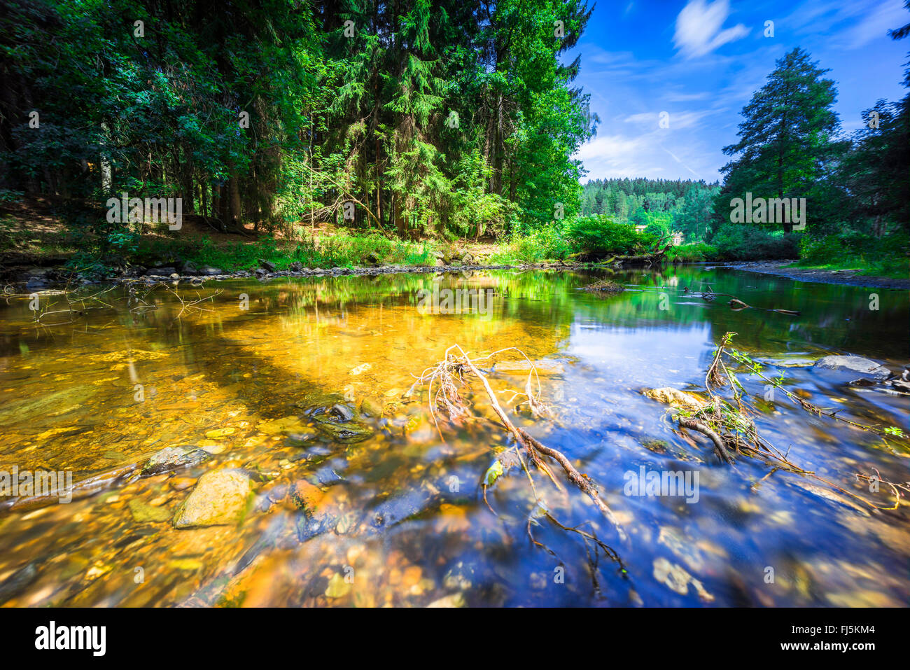river scenery at the Triebtal, Germany, Saxony, Vogtlaendische Schweiz ...