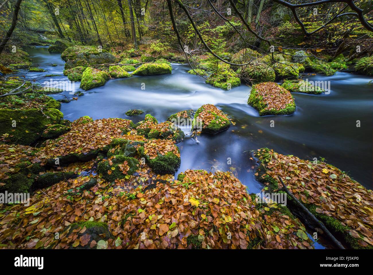 brook in autumn, Germany, Saxony, Vogtlaendische Schweiz, Triebtal ...