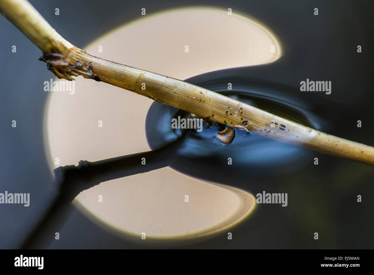 Reflections reflection schweiz hi-res stock photography and images - Alamy