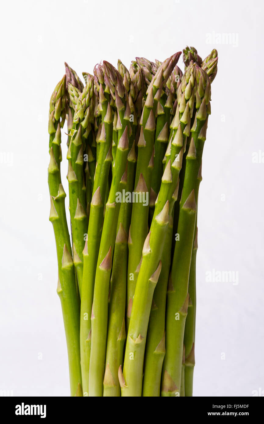 Asparagus Stalks bundled together on a white background Stock Photo - Alamy