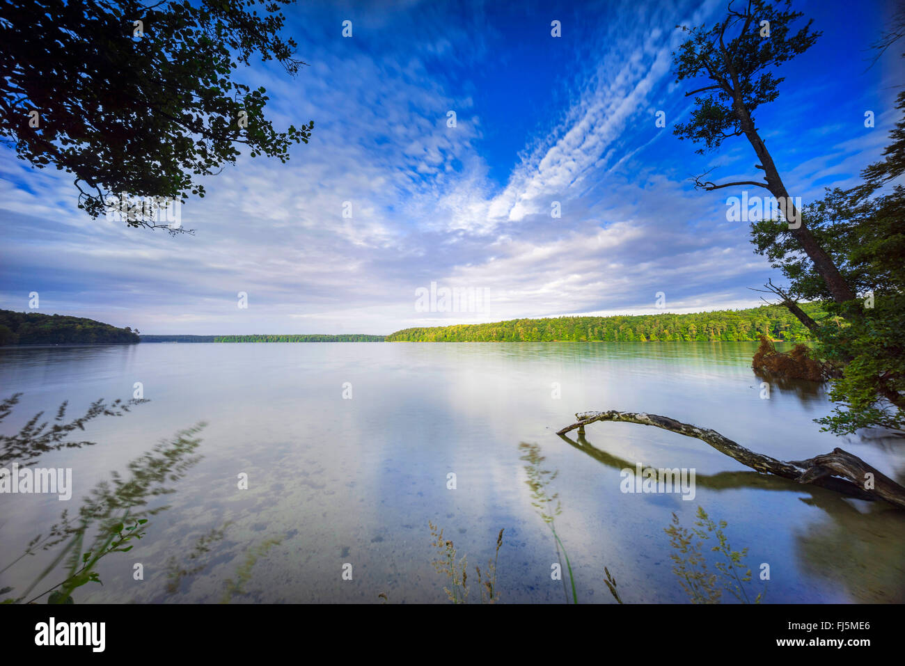 lake in summer, Germany, Brandenburg, Stechlin, Neuglobsow Stock Photo ...