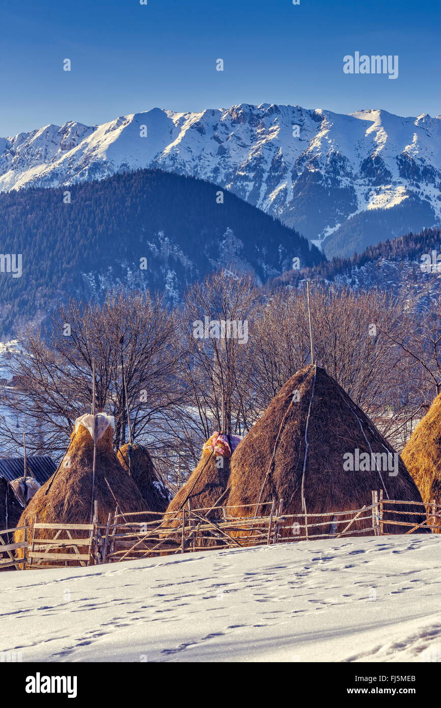 Winter rural landscape with traditional Romanian farm with sheep pen ...
