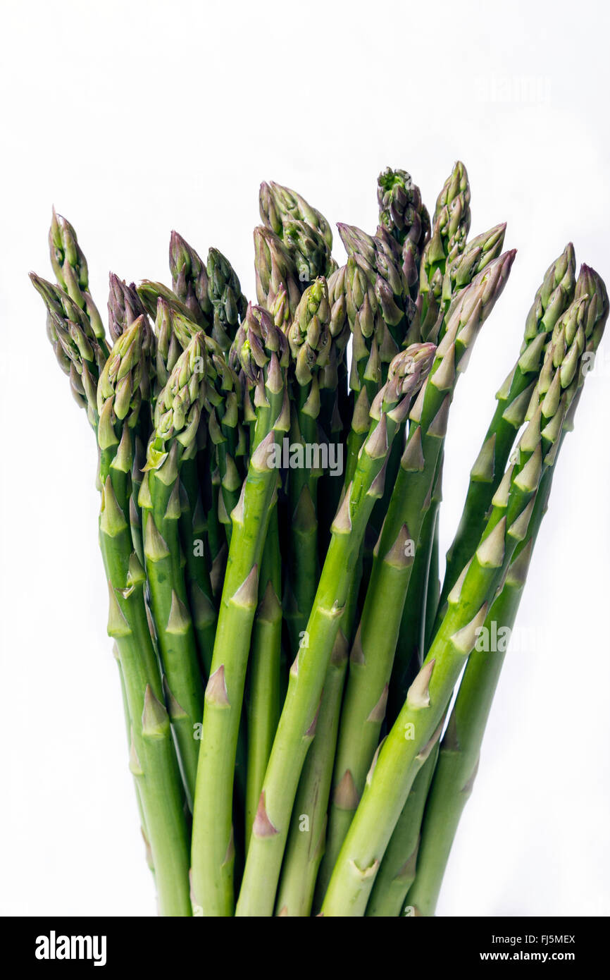 Asparagus Stalks bundled together on a white background Stock Photo - Alamy