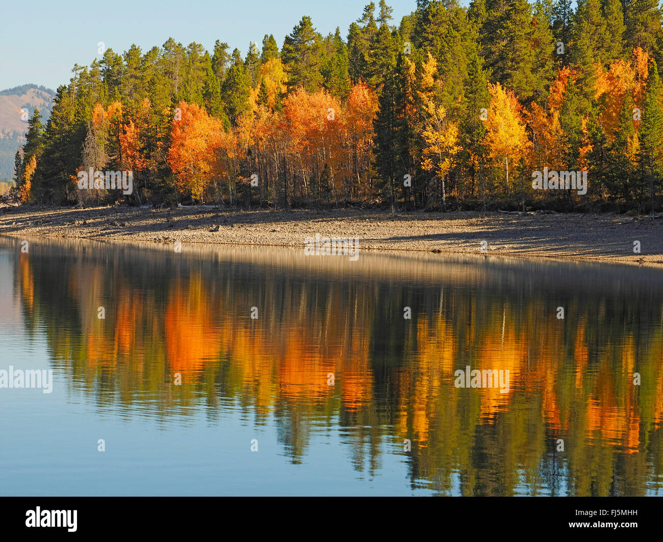 Parks jackson hi-res stock photography and images - Alamy
