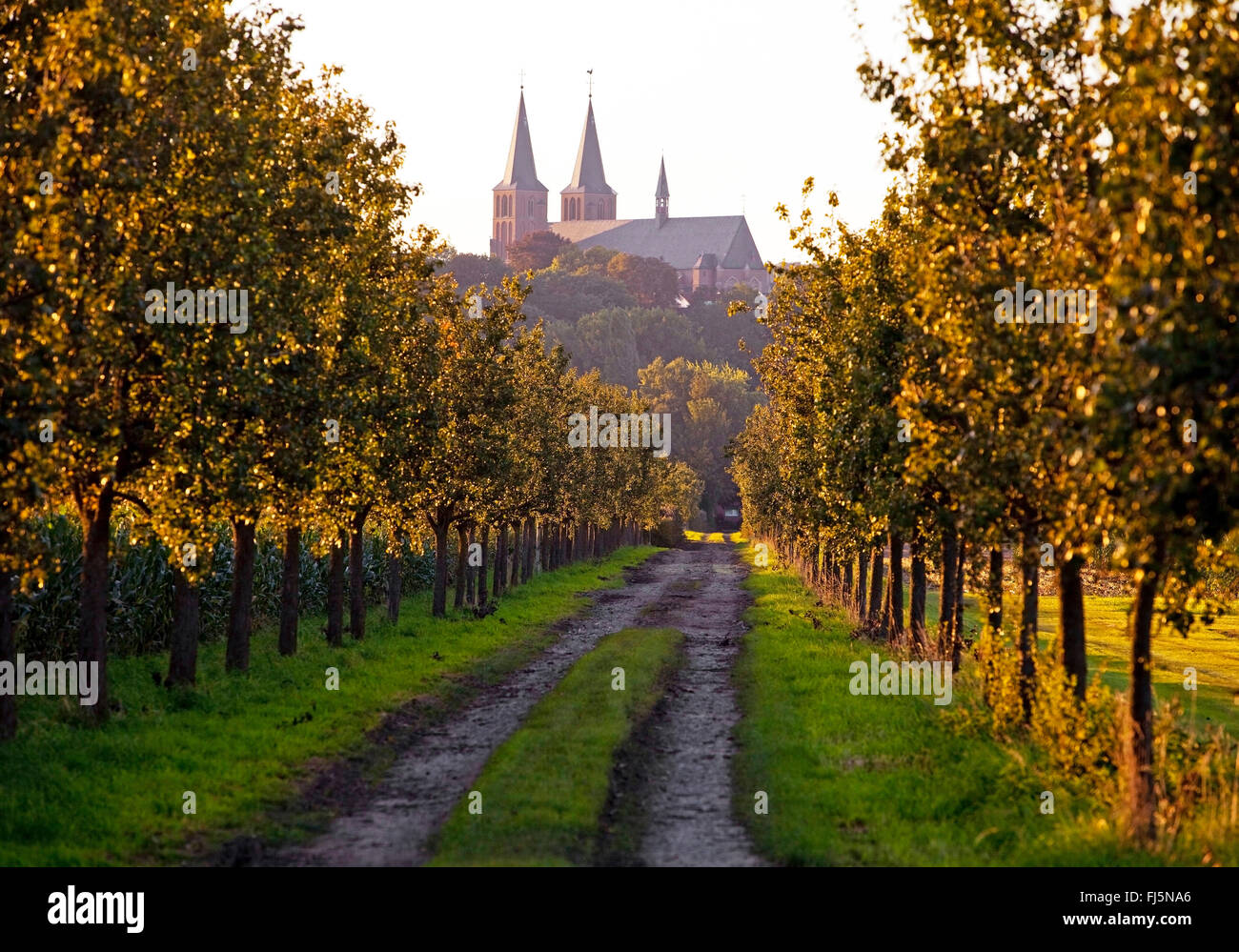 alley in direktion to the Stiftskirche in Kleve, Germany, North Rhine ...