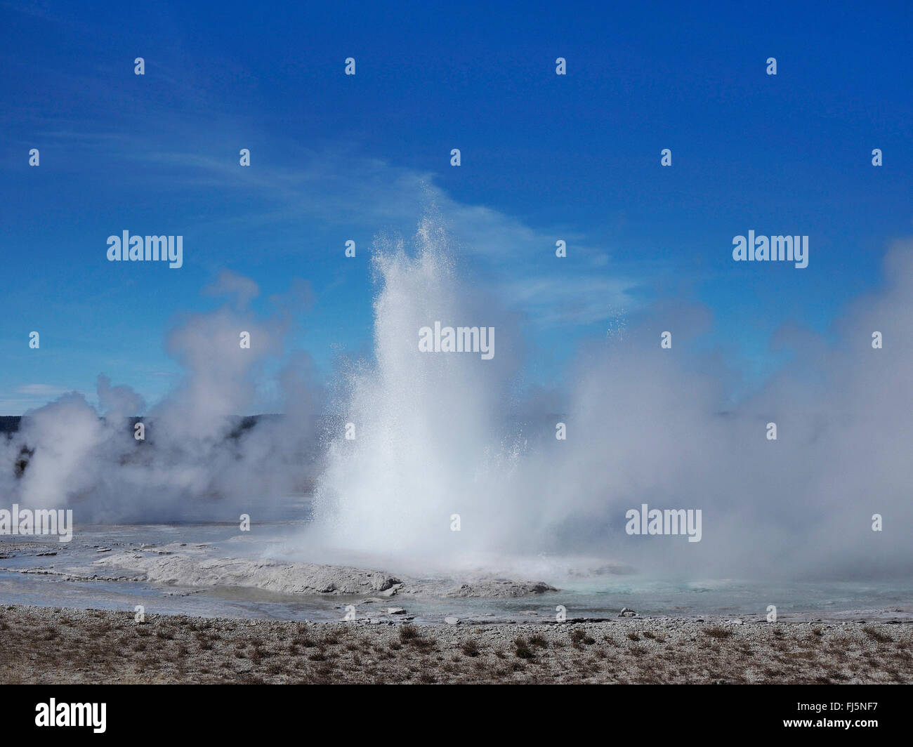 Fountain Geyser, Lower Geyser Basin, USA, Wyoming, Yellowstone National ...