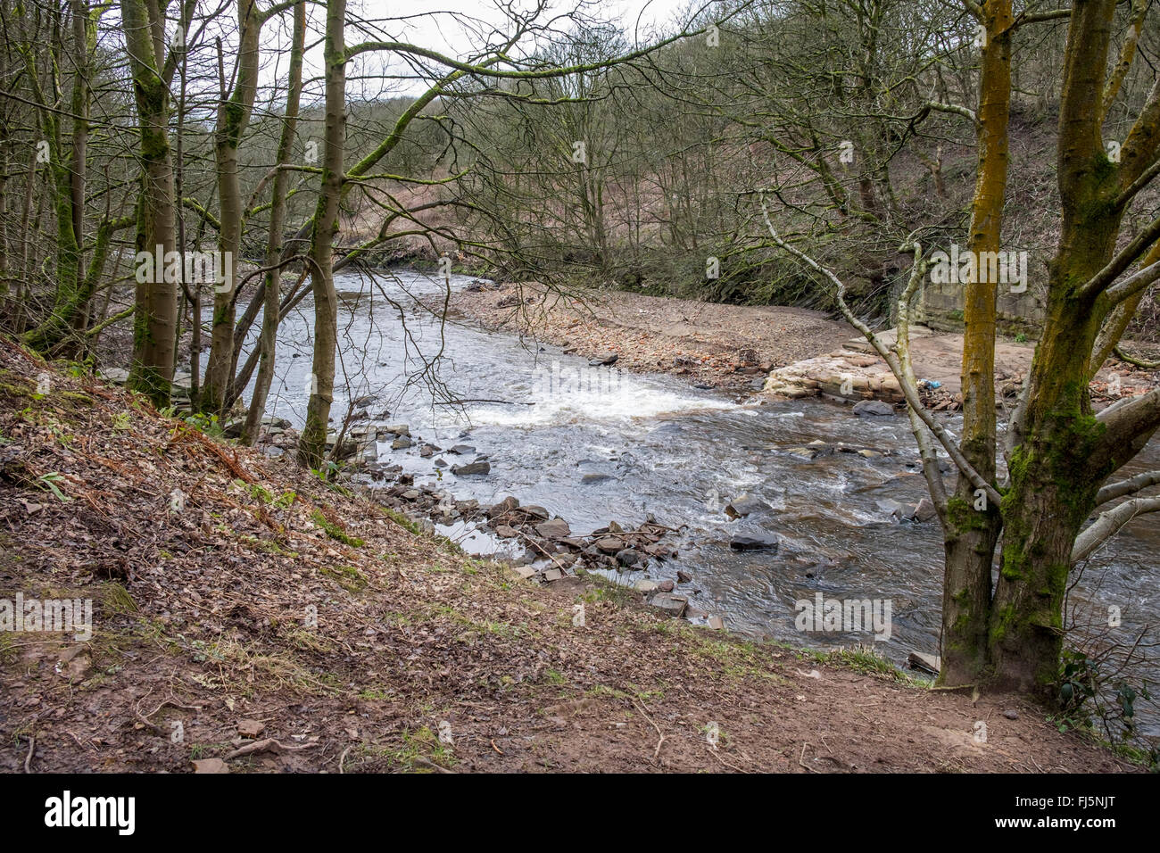 The River Croal running through Moses Gate Country Park Stock Photo - Alamy