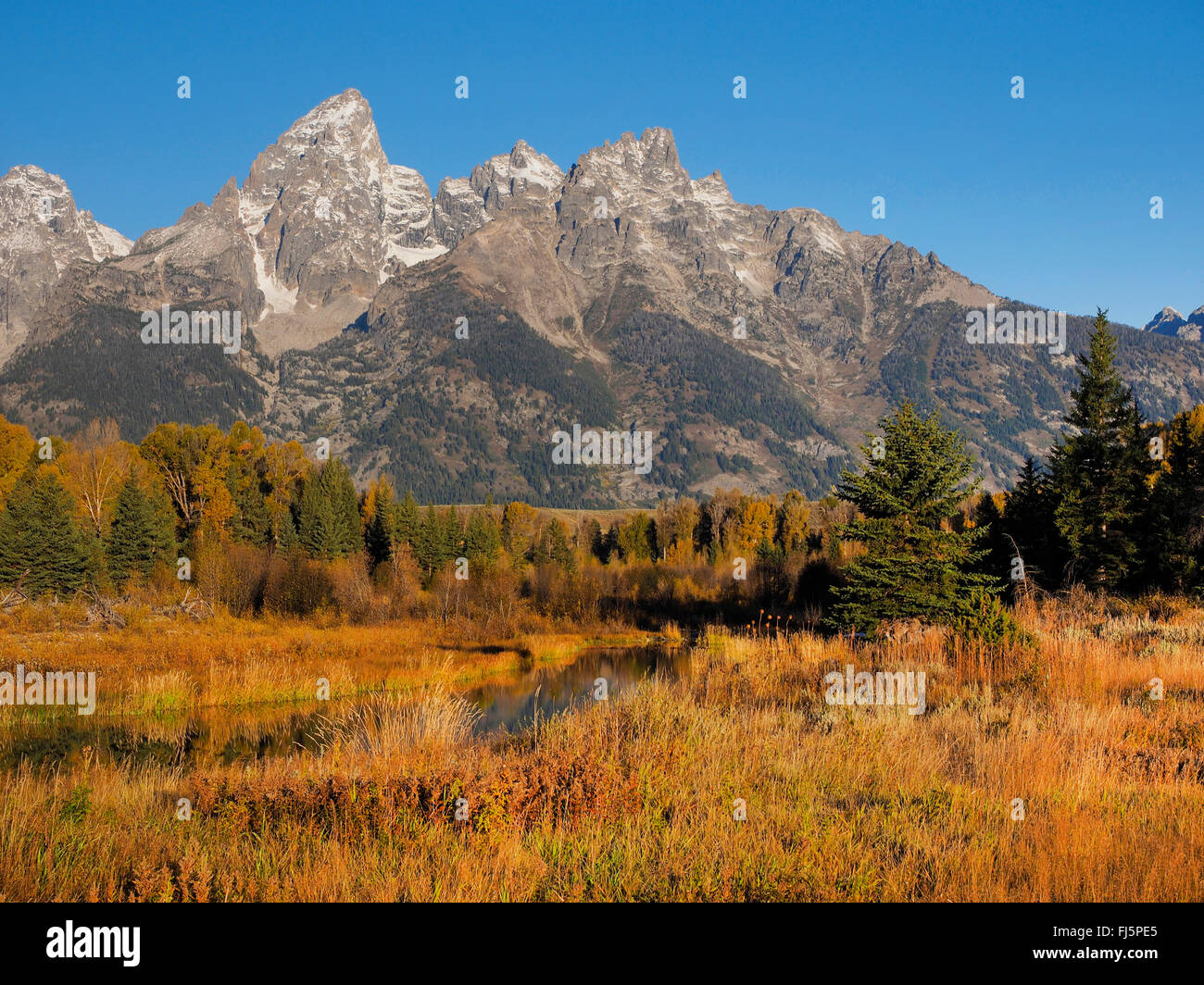 view to Grand Teton, USA, Wyoming, Grand Teton National Park Stock ...