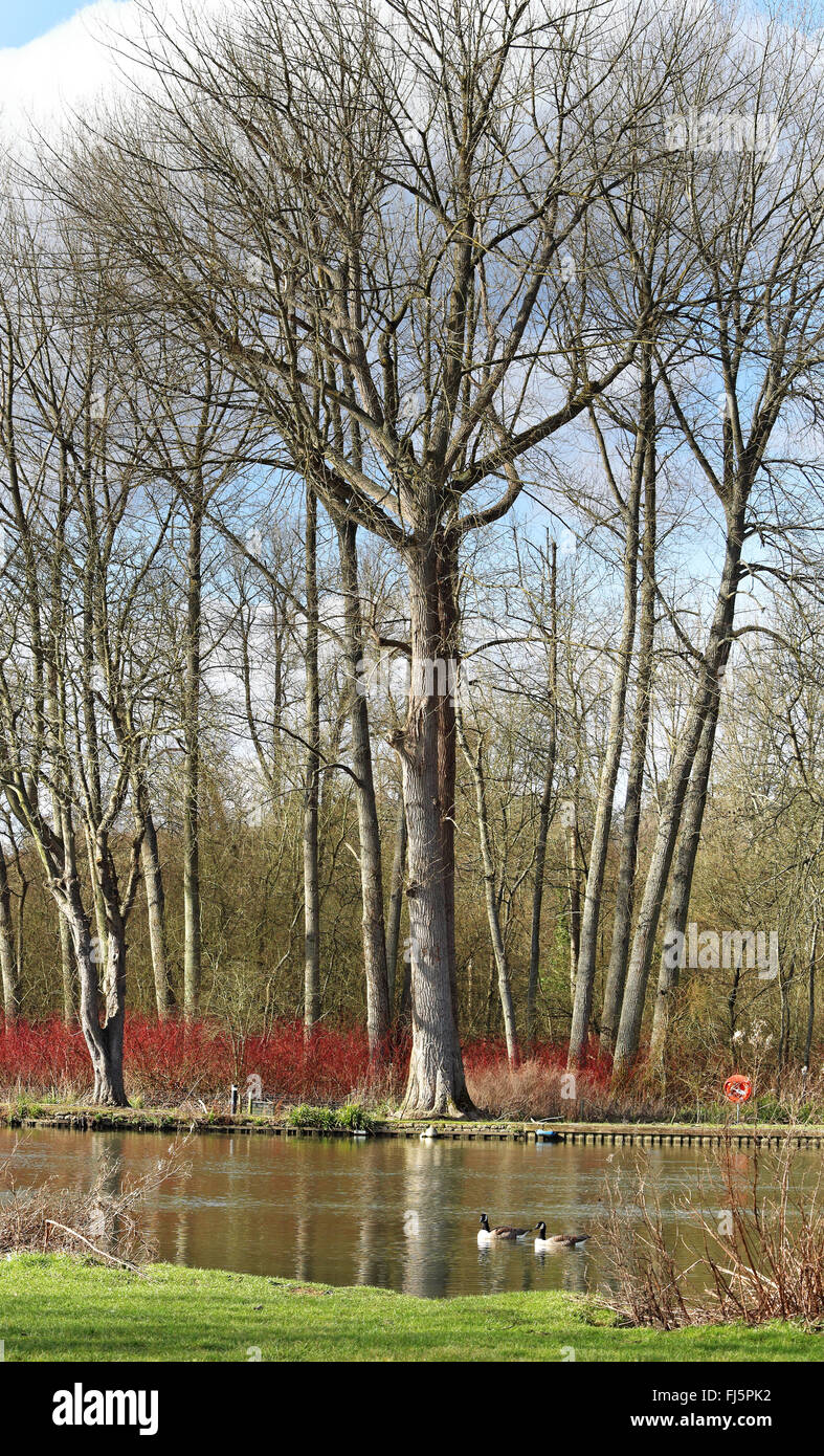 The river thames in winter hi-res stock photography and images - Alamy