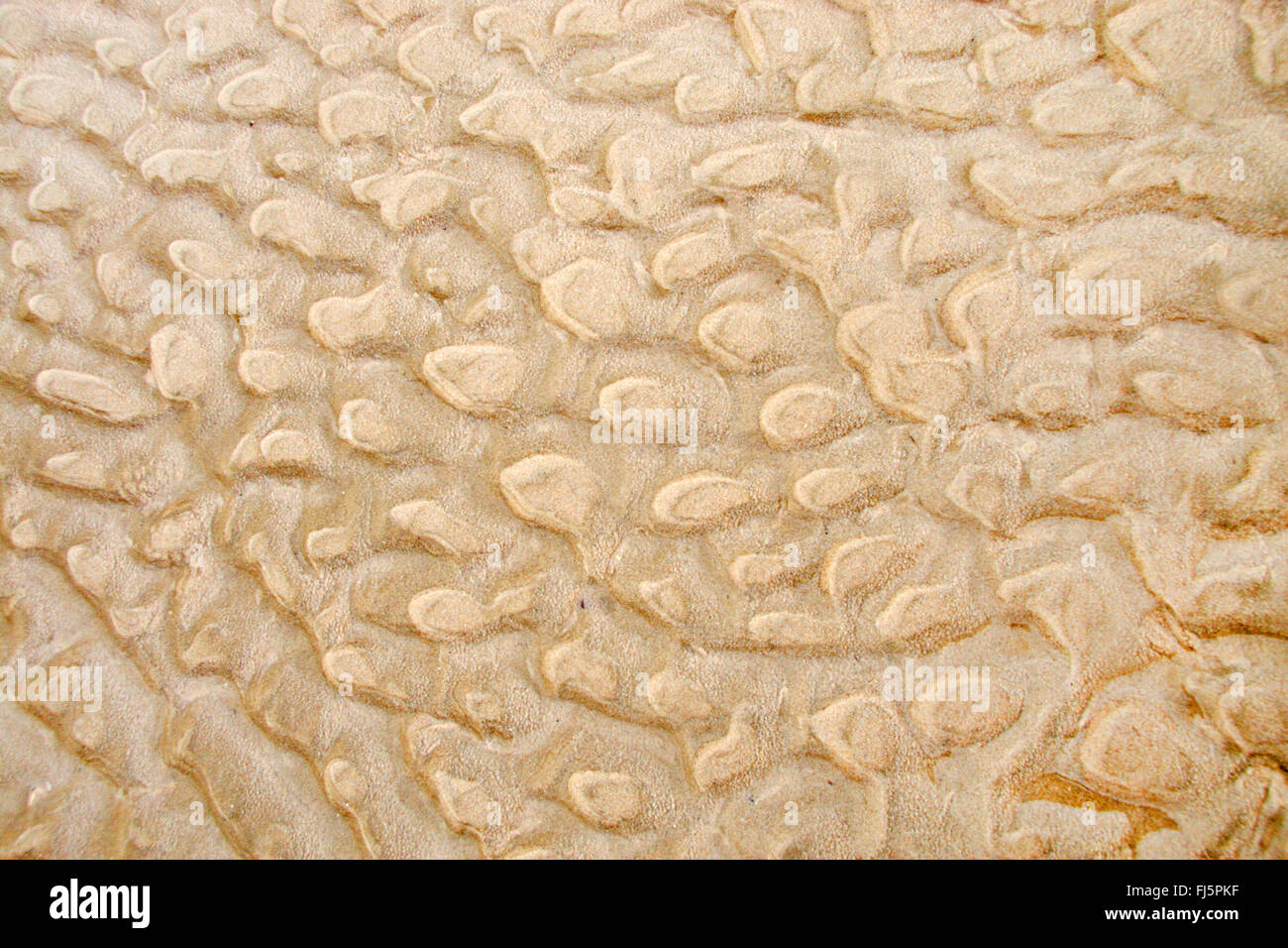 Outdoor structures hi-res stock photography and images - Alamy