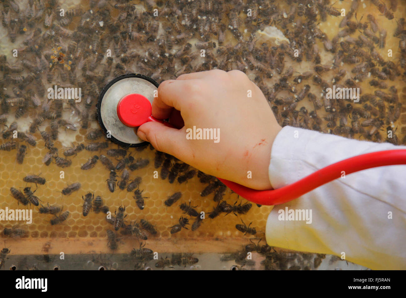 Child bee hive hi-res stock photography and images - Alamy