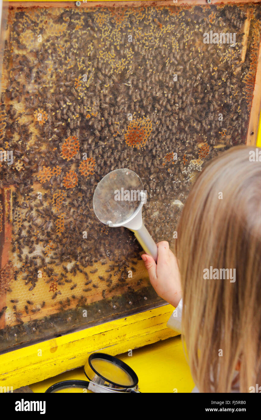 Child bee hi-res stock photography and images - Alamy