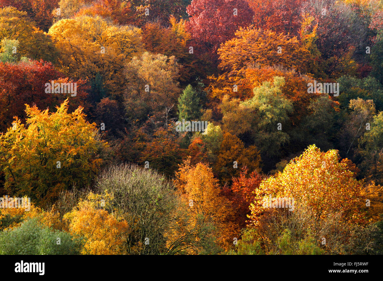 Schellberg hi-res stock photography and images - Alamy