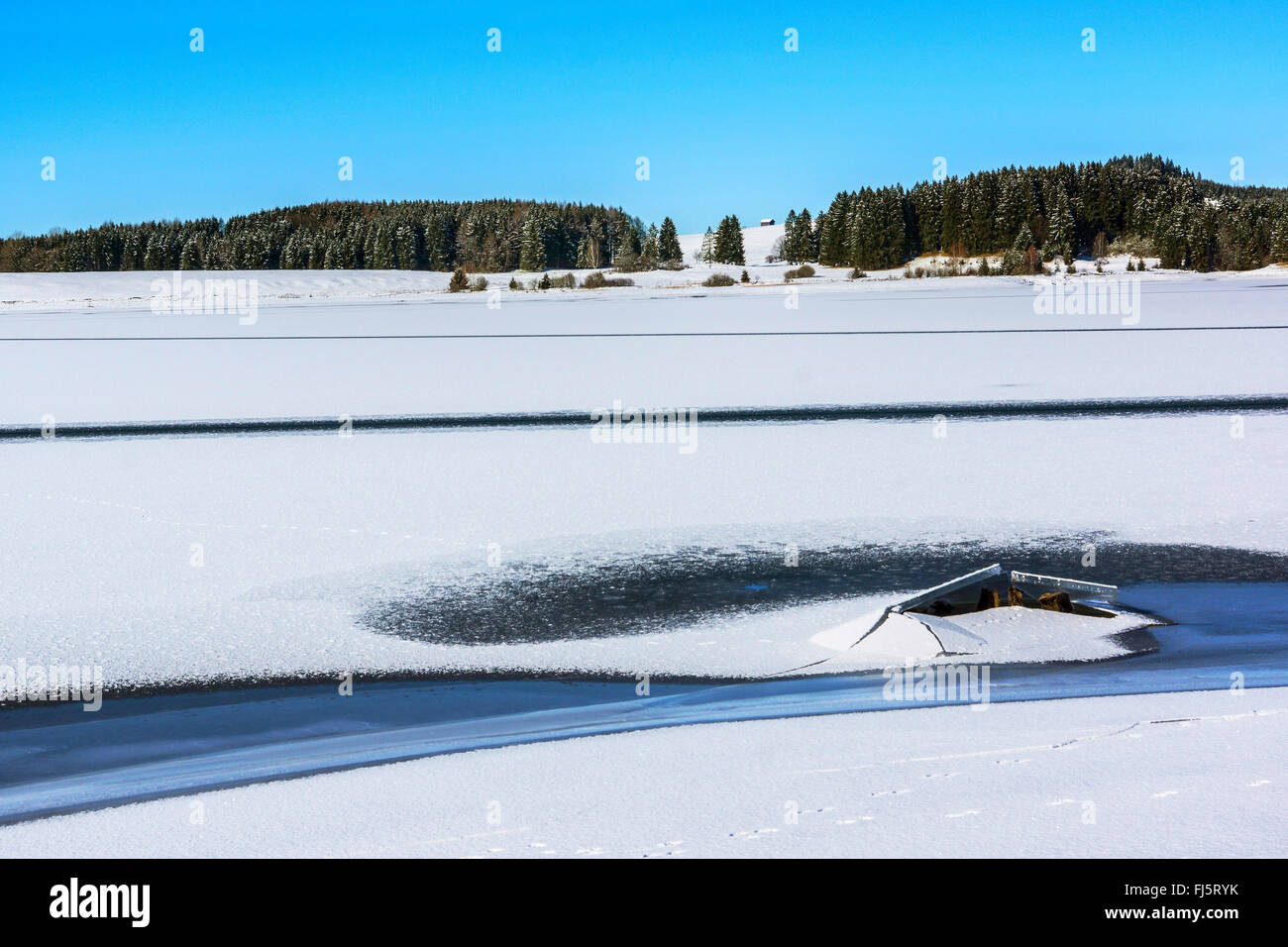Forggensee lake in winter, Germany, Bavaria, Ostalgaeu Stock Photo - Alamy