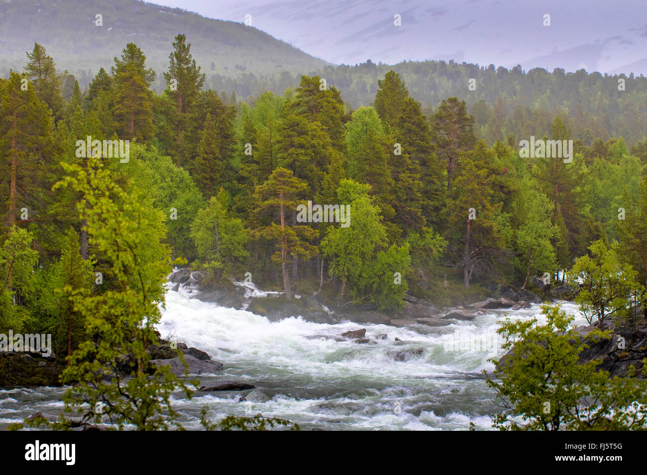 Saltdalen hi-res stock photography and images - Alamy