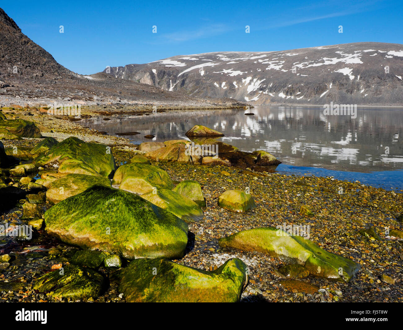 coastal landscape on Spitsbergen, Norway, Svalbard, Virgohamna Stock ...