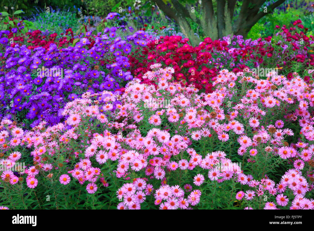 Different seasons composite hi-res stock photography and images - Alamy