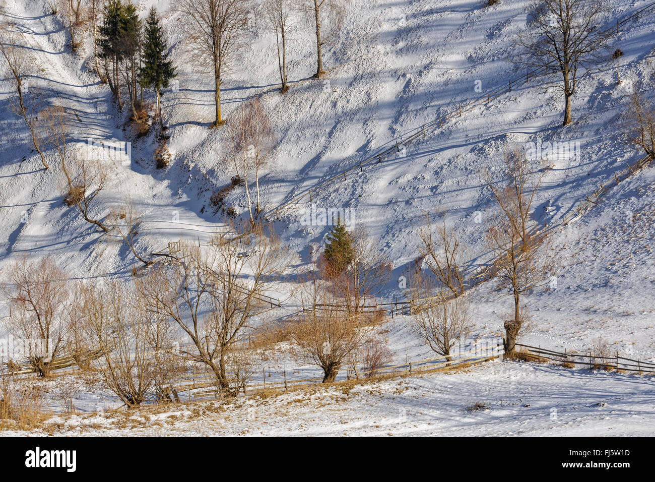Idyllic rural winter scenery with snowy country lane Stock Photo - Alamy