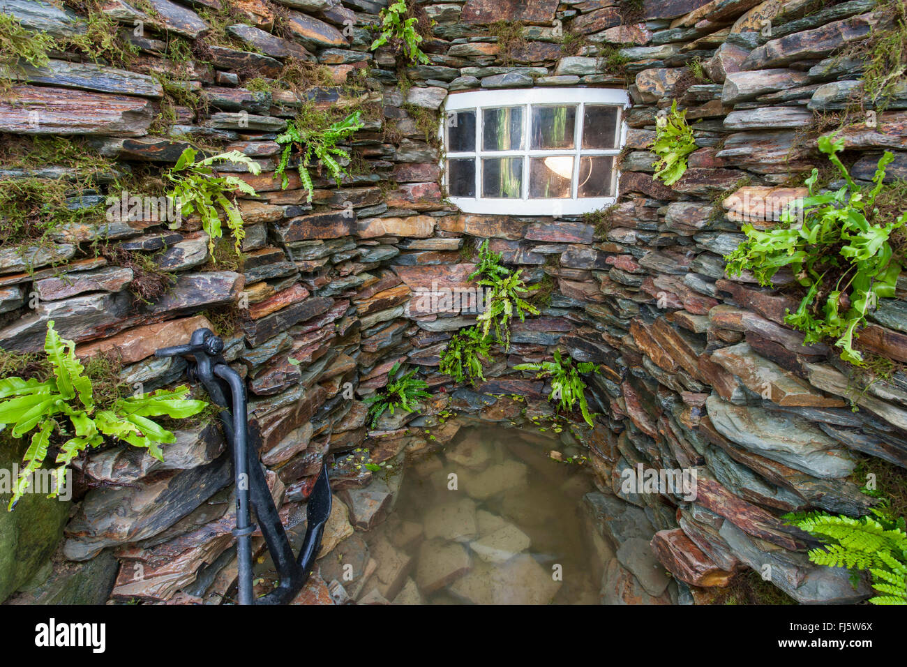 ferns growing out of stone wall with small pond water feature Alchemy ...