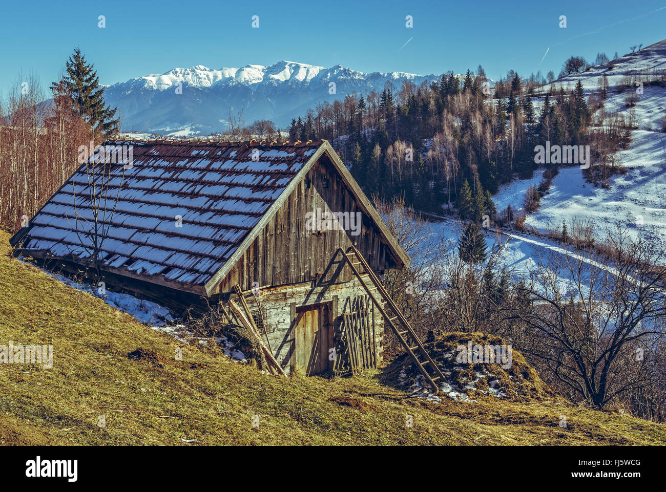 Traditional Romanian wooden rustic shed with pile of manure outside ...