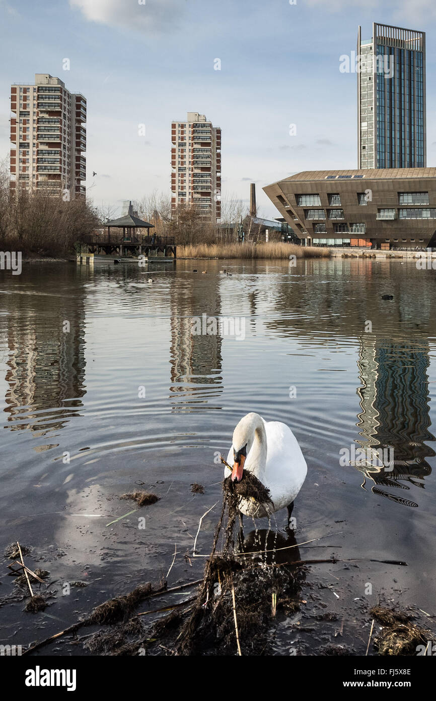 Canada water london 2016 hi-res stock photography and images - Alamy