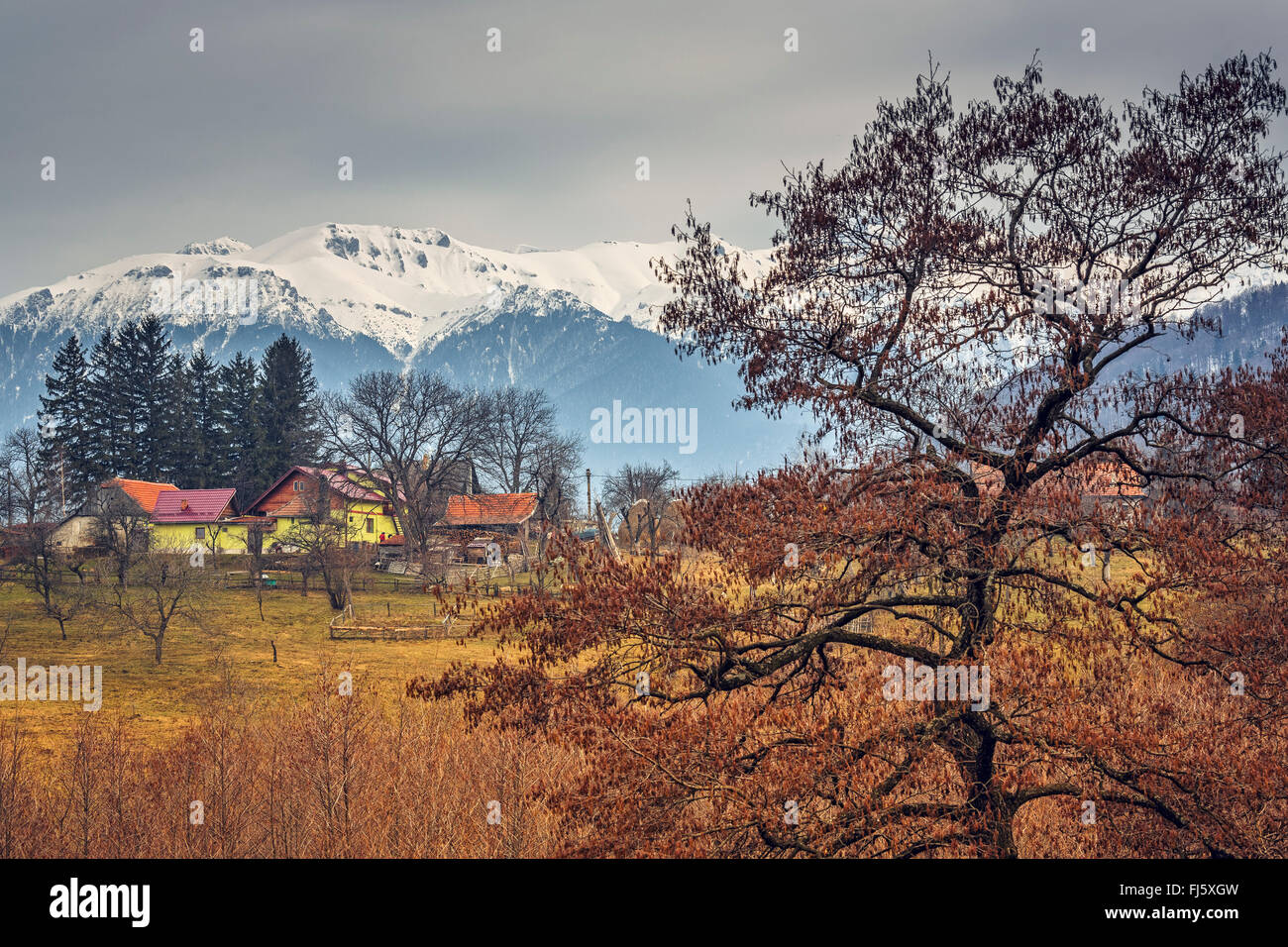 Spring rural landscape with snowy Bucegi mountains and traditional ...