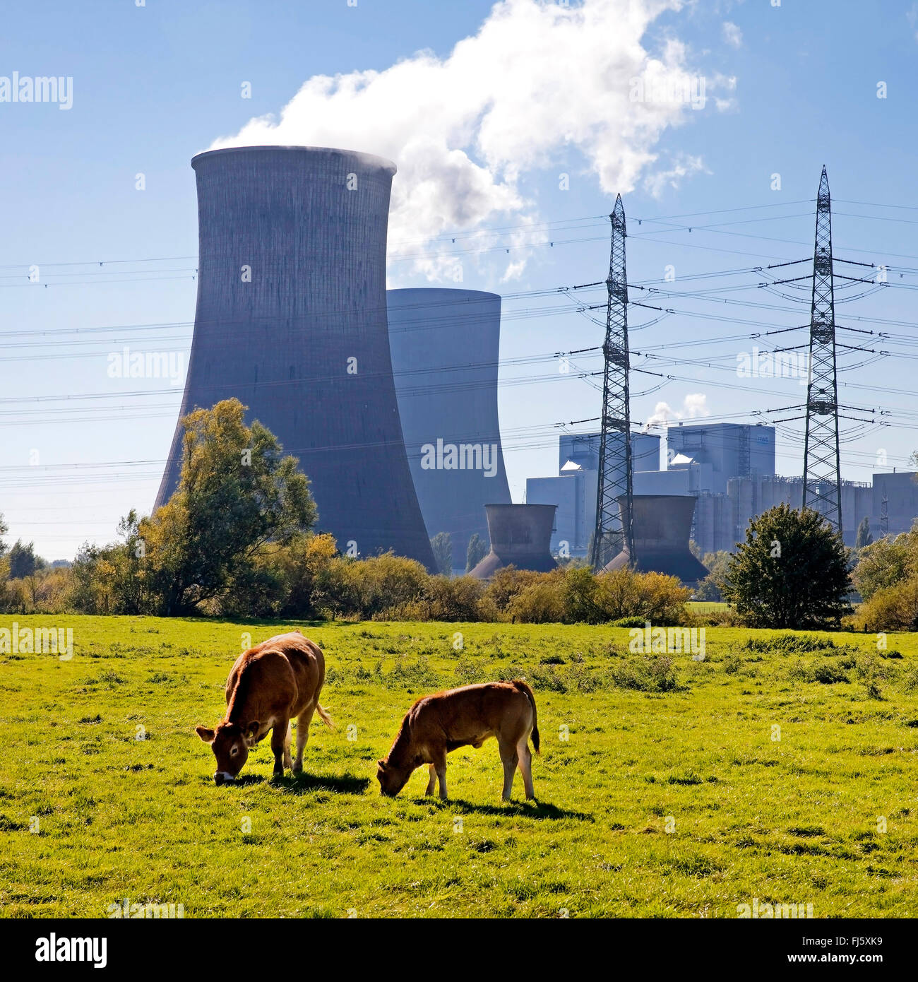 Cattle station hi-res stock photography and images - Alamy