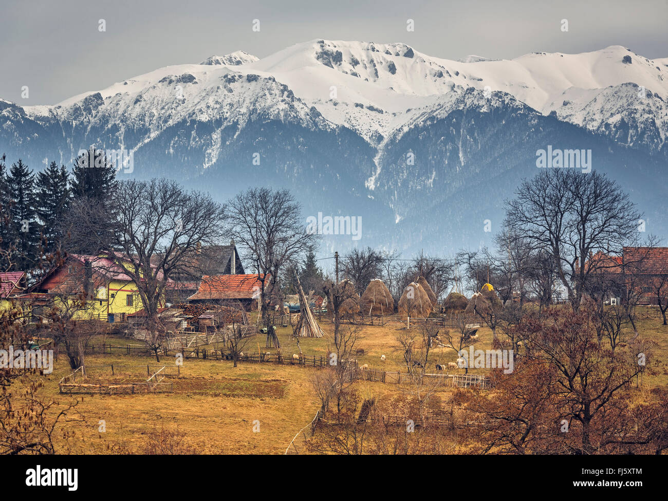Rural landscape with snowy Bucegi mountains and traditional Romanian ...