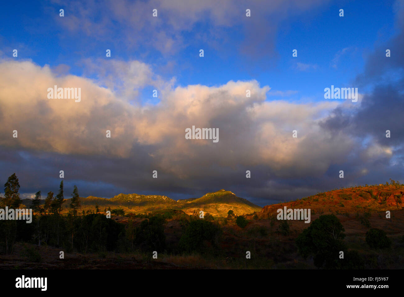 disforestation of tropical rainforest on Madagascar, Madagascar ...