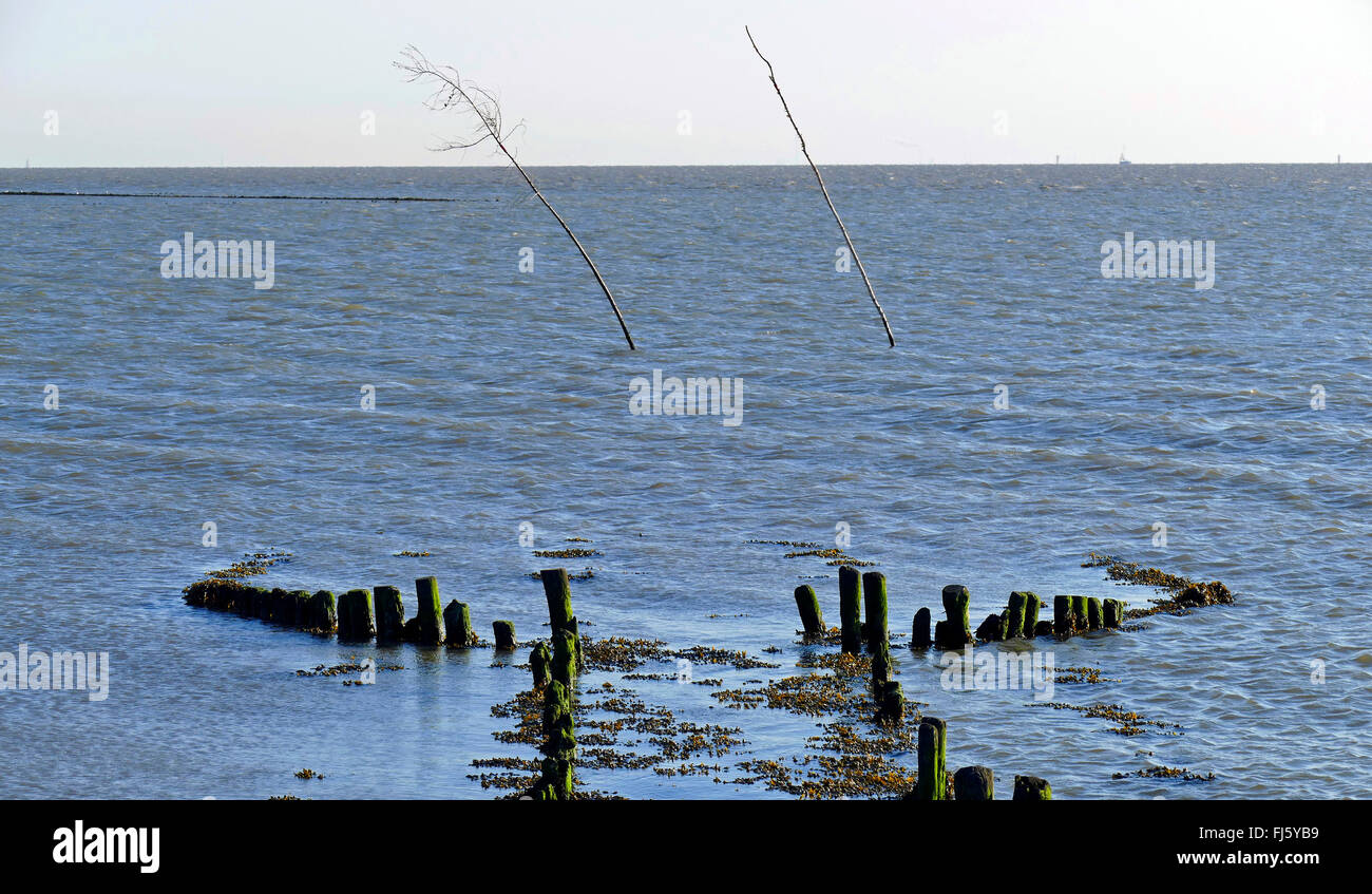 old bank reinforcement at the port entrance of Spieka Neufeld, Germany ...
