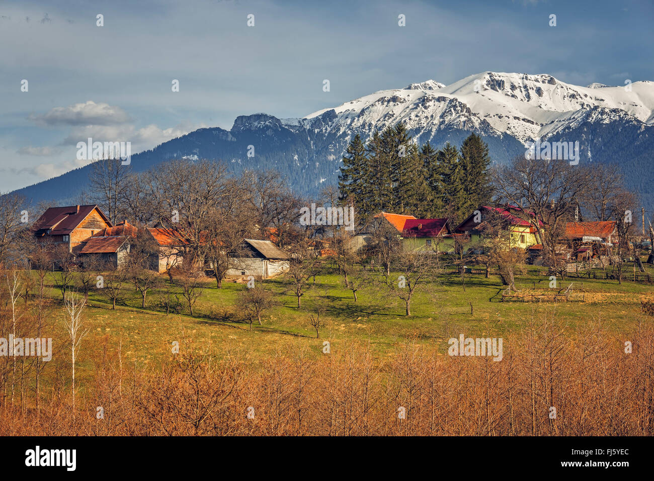 Spring sunny rural landscape with snowy Bucegi mountains and ...