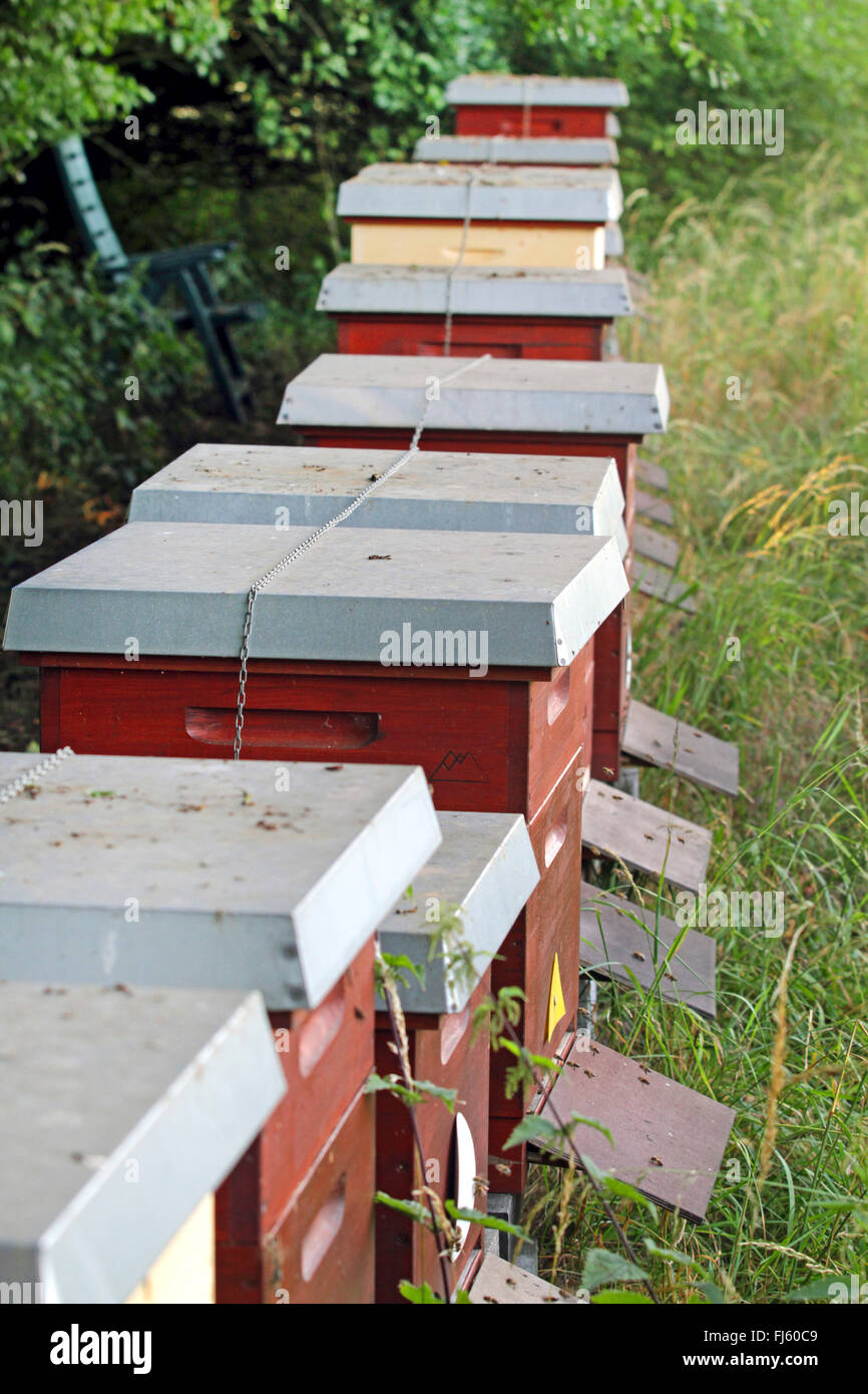 Beehive boxes hi-res stock photography and images - Alamy