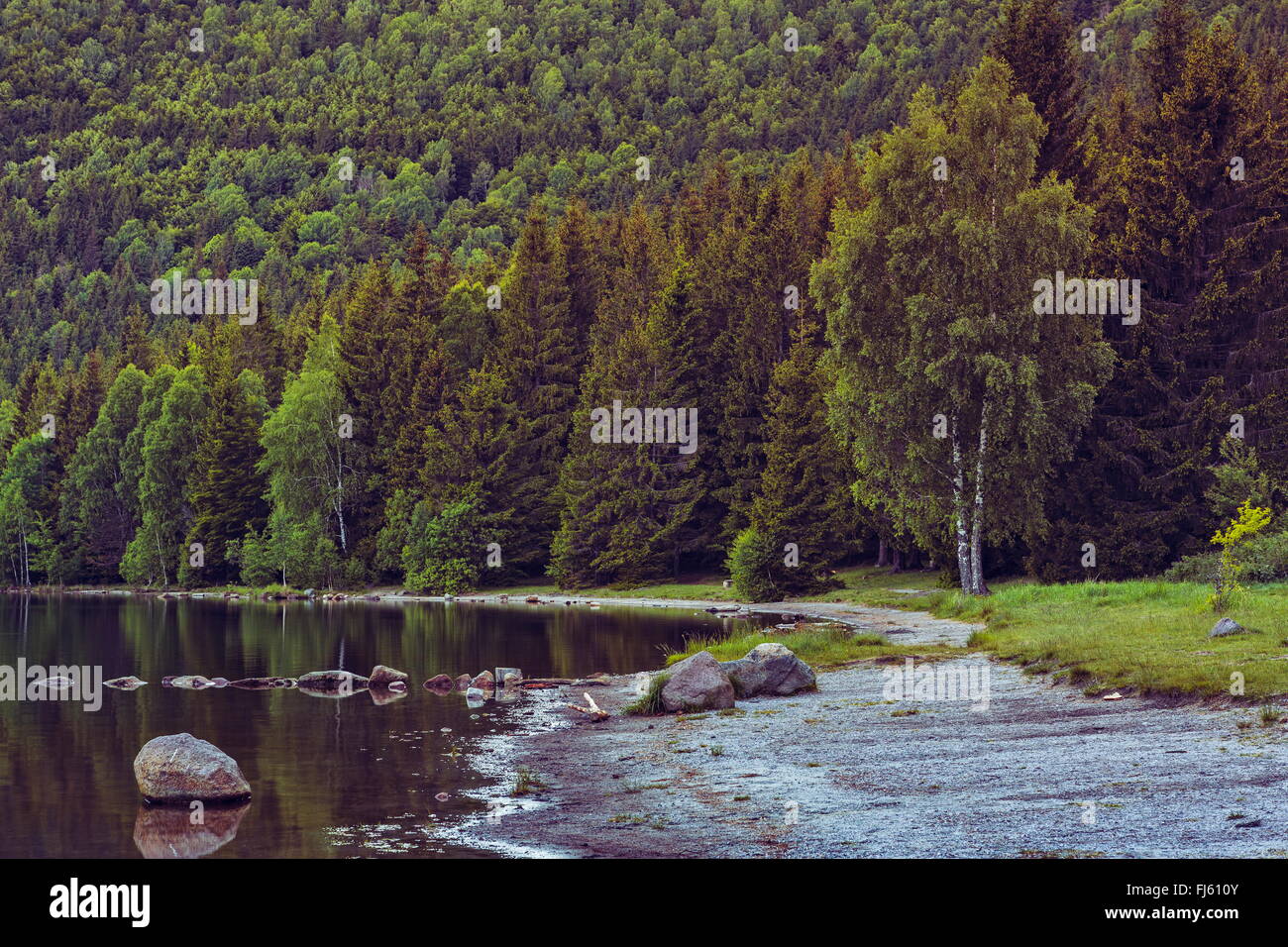 Peaceful scenery with the shore and calm translucent waters of the ...