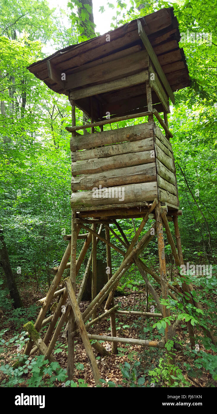 Old construction in forest hi-res stock photography and images - Alamy