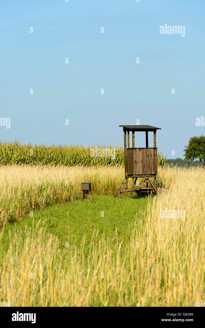 raised hide on fallow land at the Muensterland, Germany, North Rhine ...