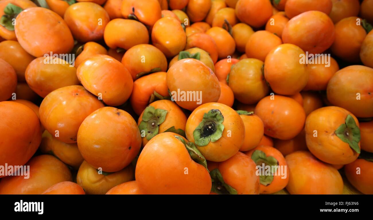 Fresh Korean persimmons at a fruit farm in Gurye County, Jeollaman-do ...