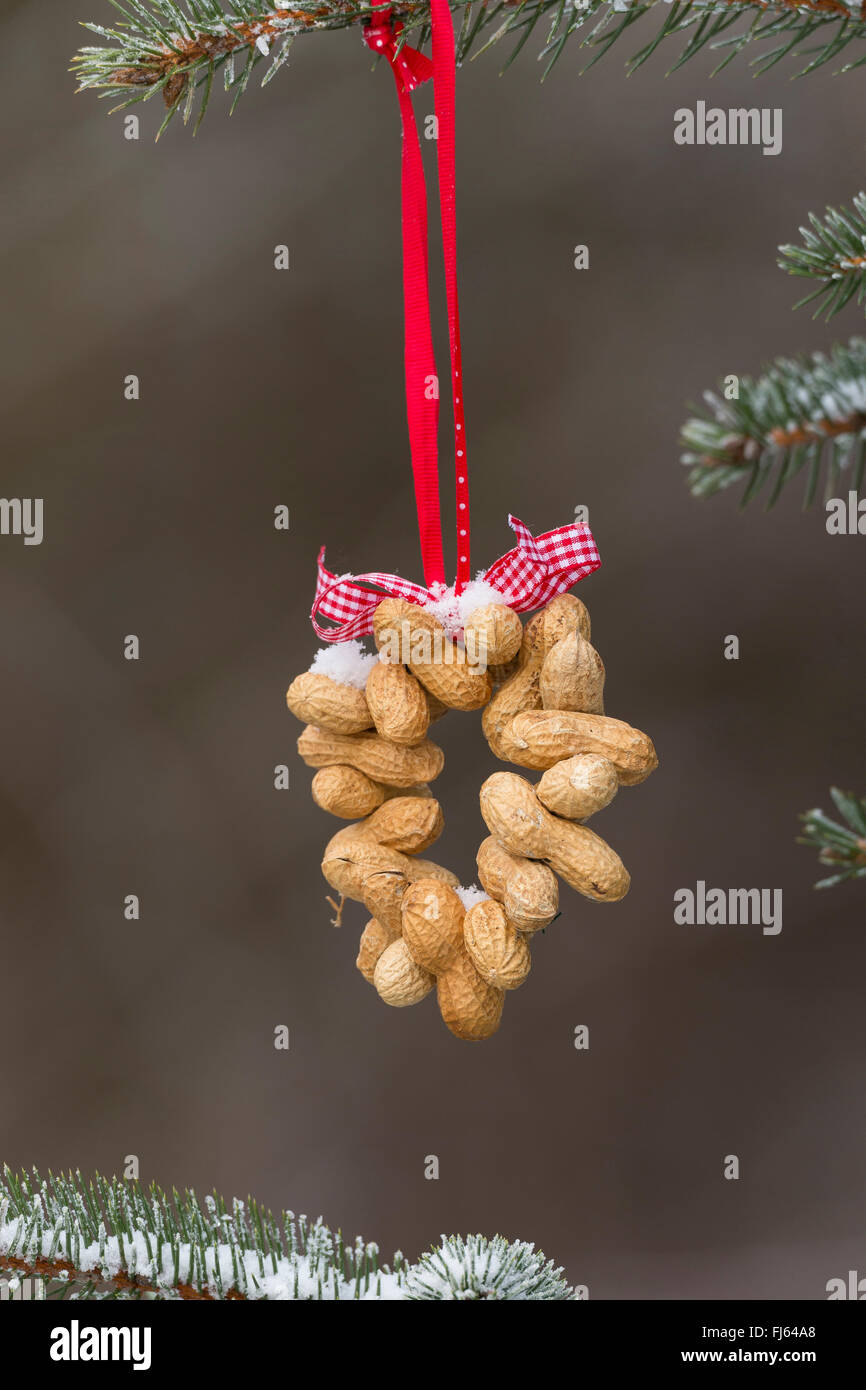 Chain of fruit hi-res stock photography and images - Alamy