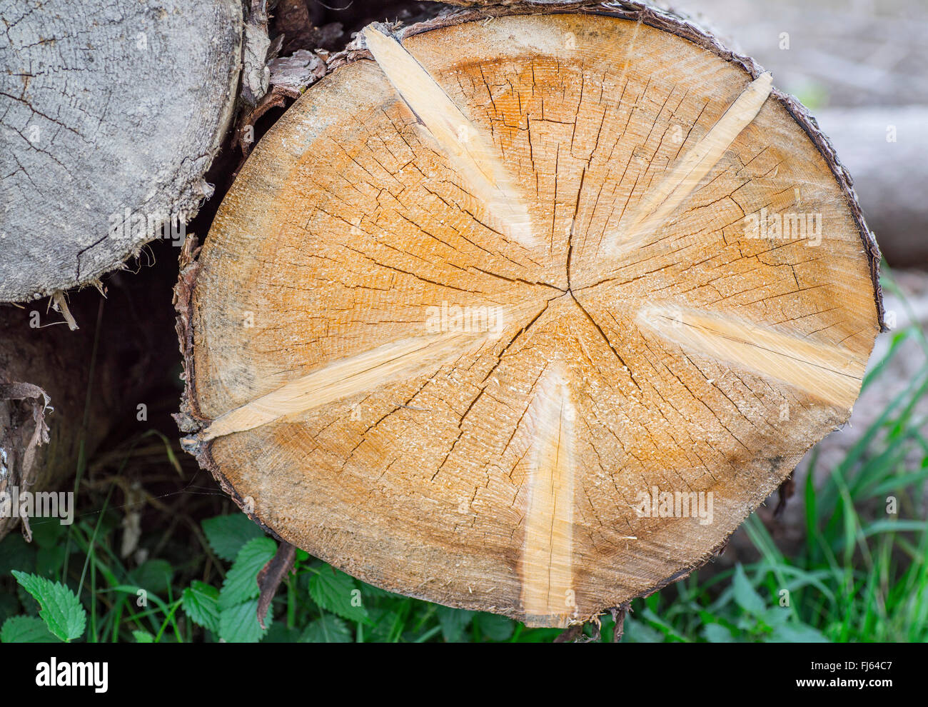 Germany german cross section hi-res stock photography and images - Alamy