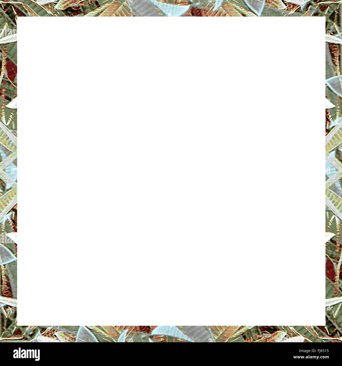 Colorful Abstract Borders