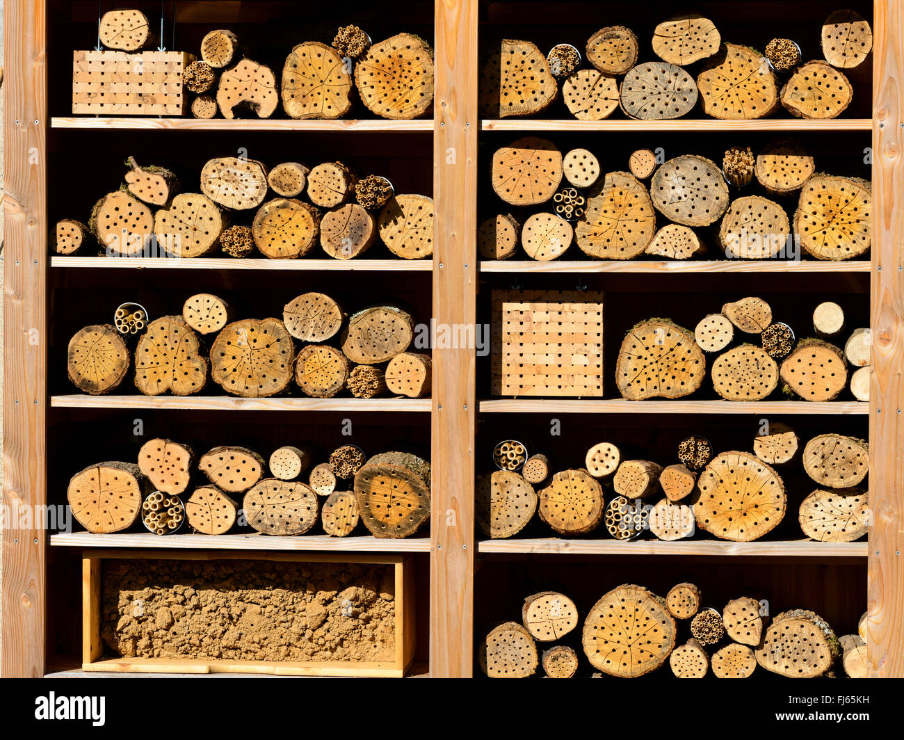 Garden wood pile insects hi-res stock photography and images - Alamy