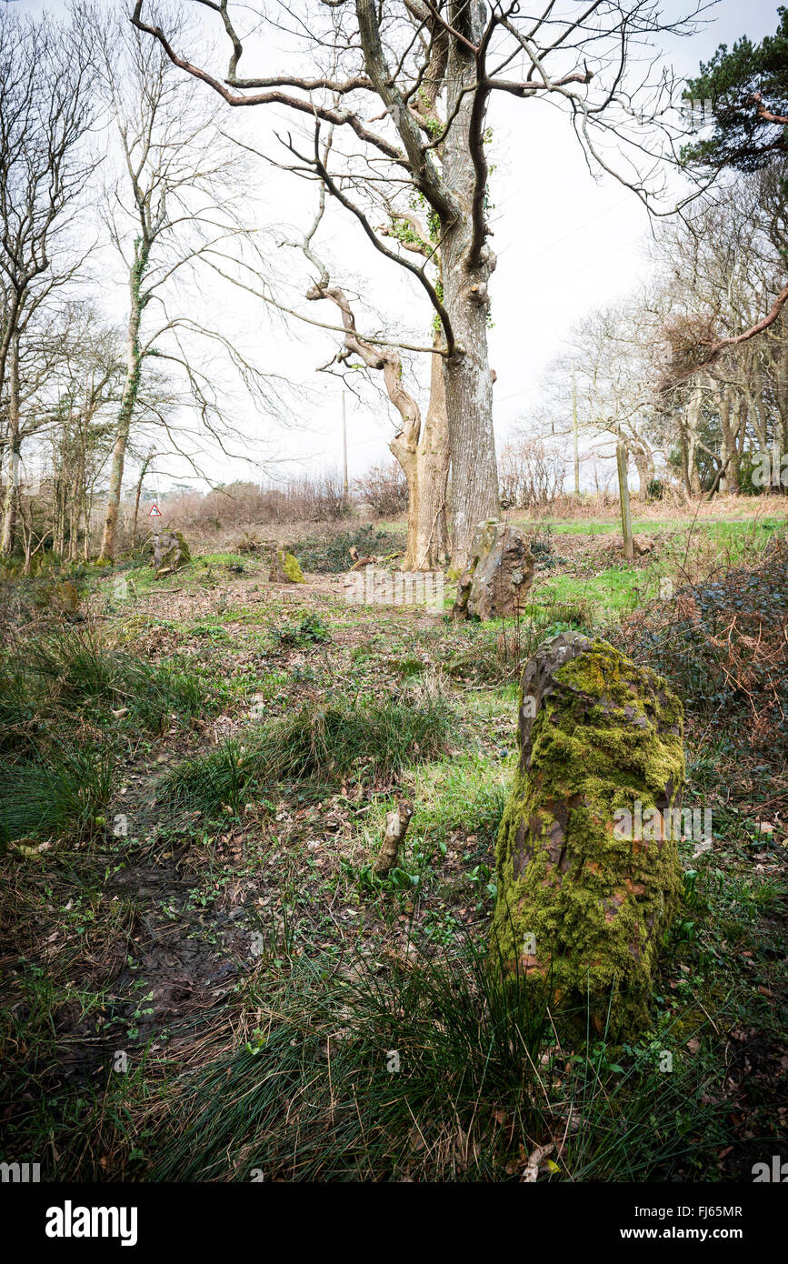 Rempstone hi-res stock photography and images - Alamy