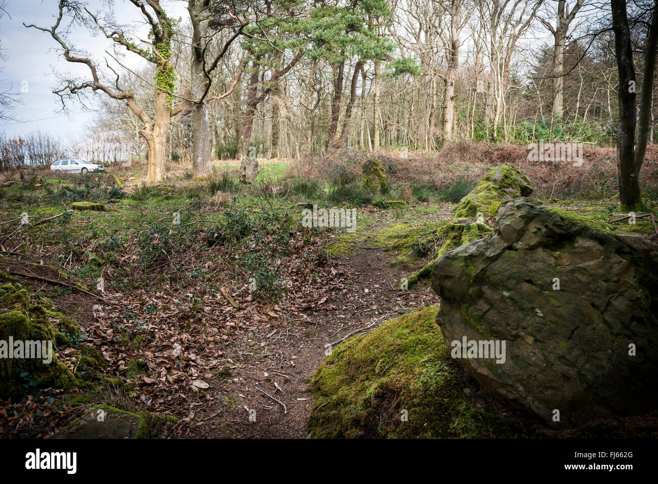 Rempstone stone circle hi-res stock photography and images - Alamy
