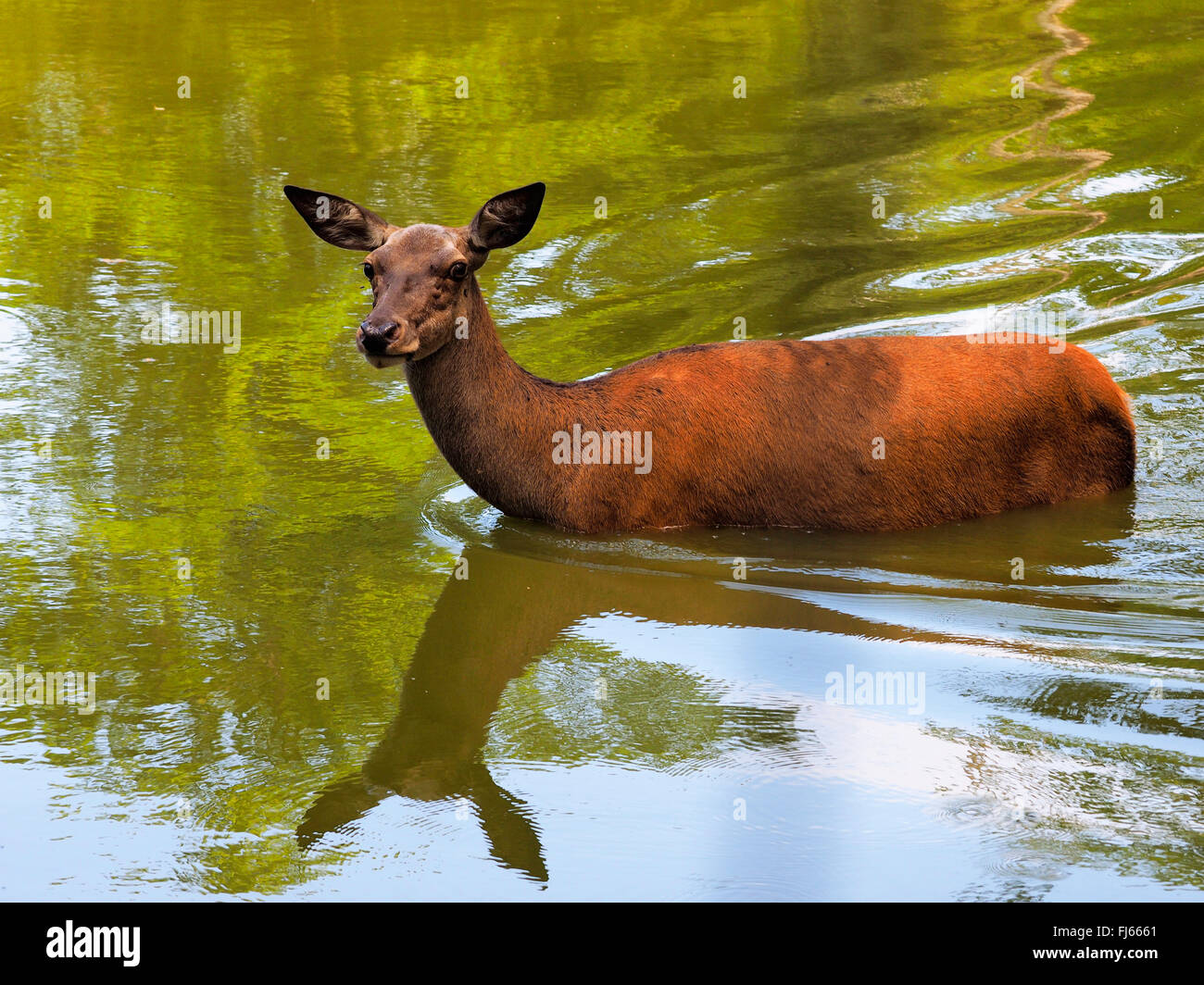 Stretch of water hi-res stock photography and images - Alamy